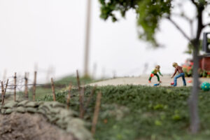 Proxy (28 Sapper Ave.) – Thomas Doyle